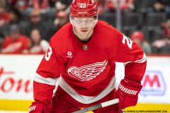 Red Wings vs Blue Jackets March 19 2024 Game Recap - In Play! magazine