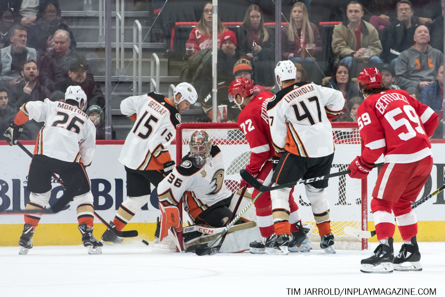 Red Wings vs Anaheim Ducks Jan 15 2019 Gallery - In Play! magazine