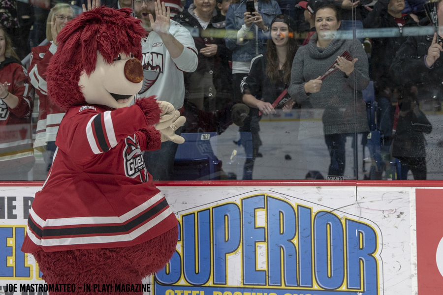 2019 OHL FINAL GALLERY - In Play! magazine