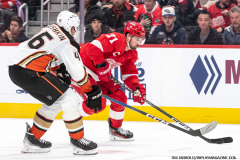 Red Wings vs Ducks December 18 2023 Game Recap - In Play! magazine