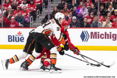 Red Wings vs Ducks December 18 2023 Game Recap - In Play! magazine