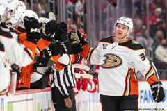 Red Wings vs Ducks December 18 2023 Game Recap - In Play! magazine