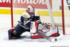 Matthew Maggio Scores 50th Goal - In Play! magazine