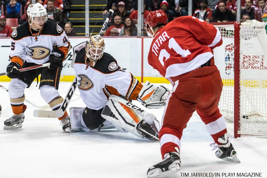 Red Wings vs Ducks - GAME PIX - In Play! magazine