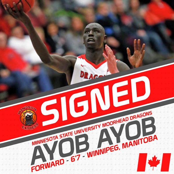 Windsor Express Sign 6' 7'' Ayob Ayob - In Play! magazine