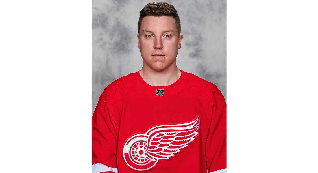RED WINGS AGREE TO DEAL WITH ADAM ERNE - In Play! magazine